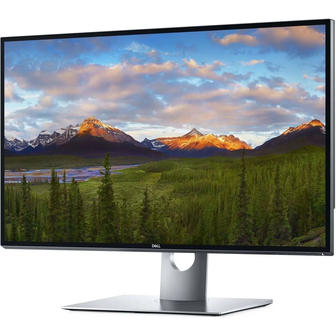 Dell screen store